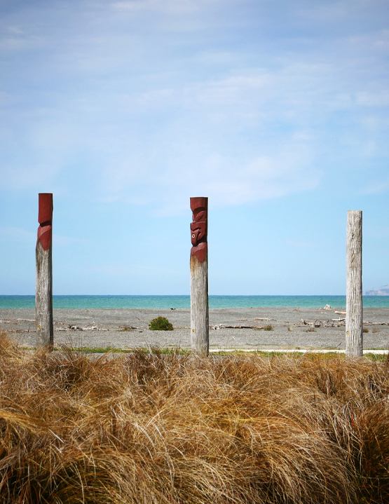 Ātea a Rangi Star | Waitangi Regional Park | Boffa Miskell