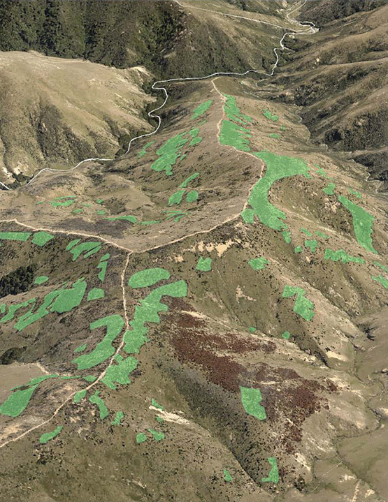 3D Mapping for Wilding Pine Control at Mid Dome | Boffa Miskell