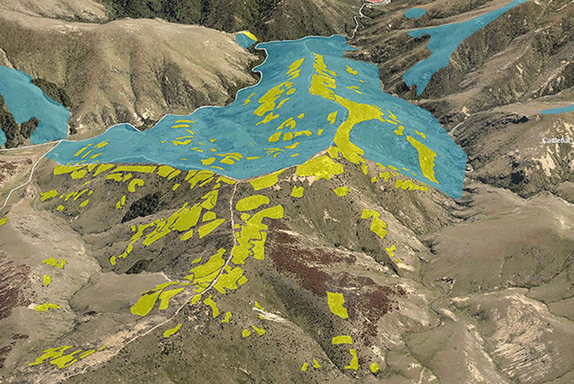 Leveraging GIS technology to combat invasive conifers | Boffa Miskell
