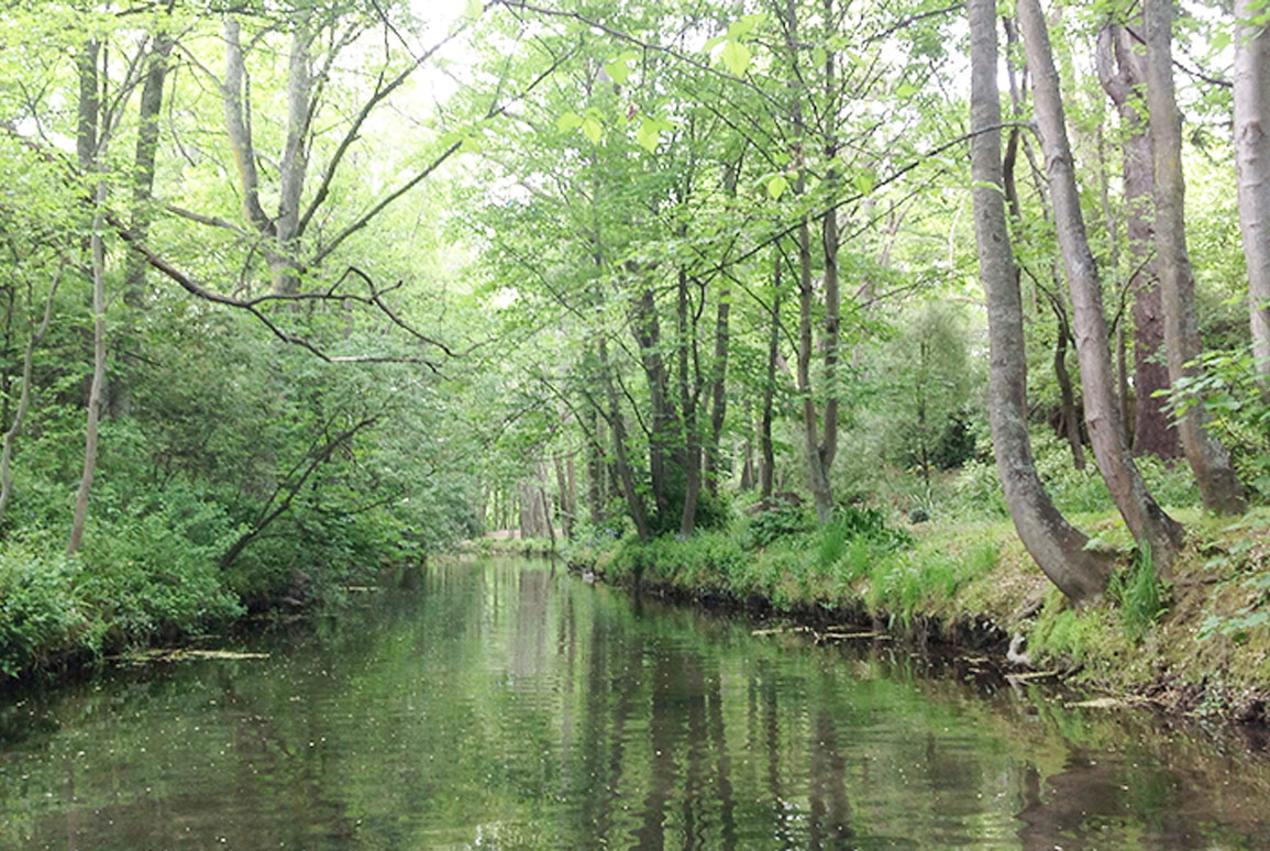 Mapihi Martin-Paul | Strategic Advisor Māori | Boffa Miskell