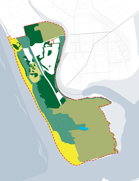 Sandy Point Domain Masterplan | Boffa Miskell