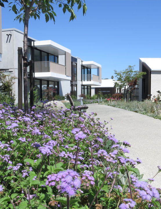 MetLife Care Gulf Rise Precinct 1 | Boffa Miskell