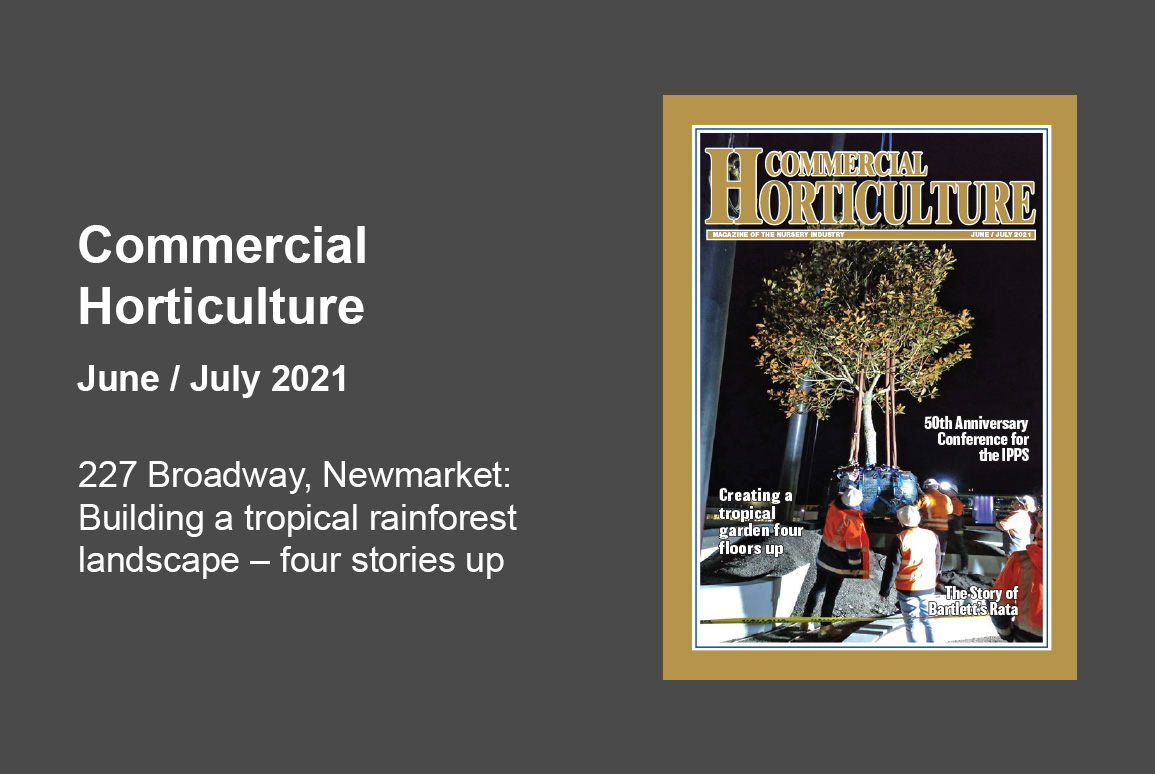 Building a tropical rainforest landscape | Boffa Miskell