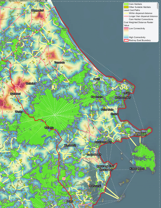 Ecological Connectivity Strategies | Boffa Miskell
