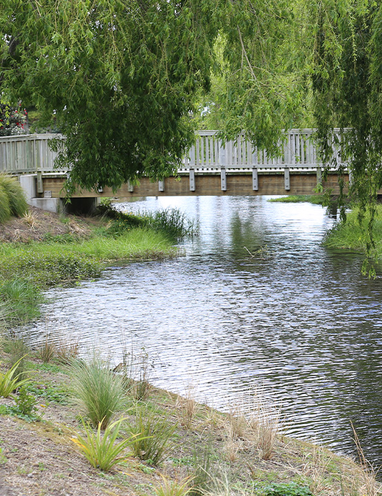 Wairakei Reserve - Te Ara o Wairakei | Boffa Miskell