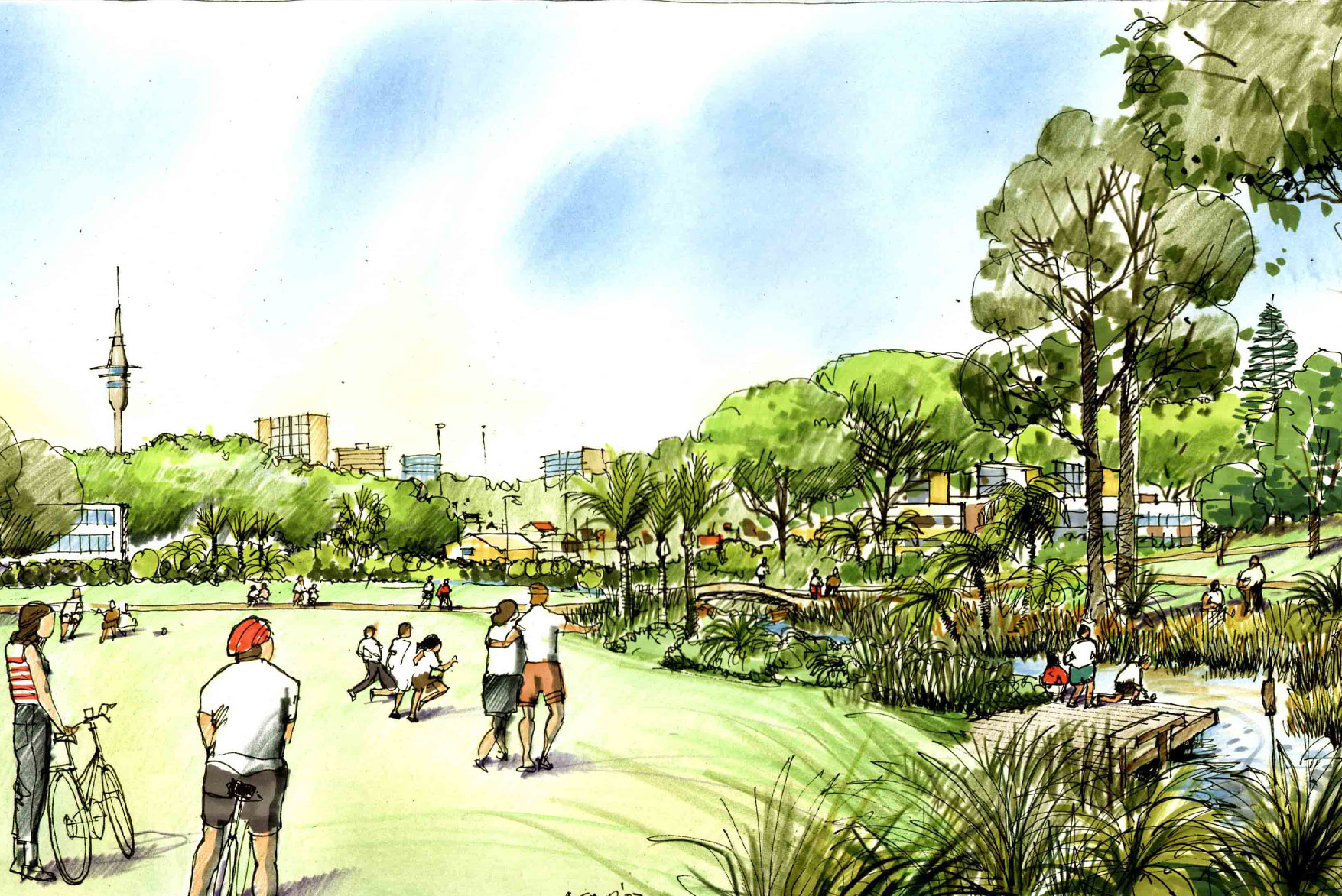 Stream Daylighting | Boffa Miskell