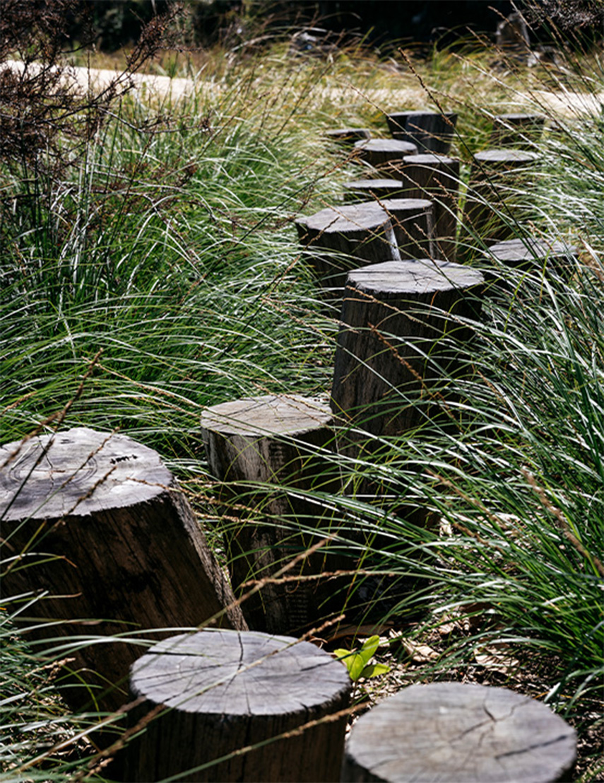 Te Māra Hūpara Playground | Boffa Miskell