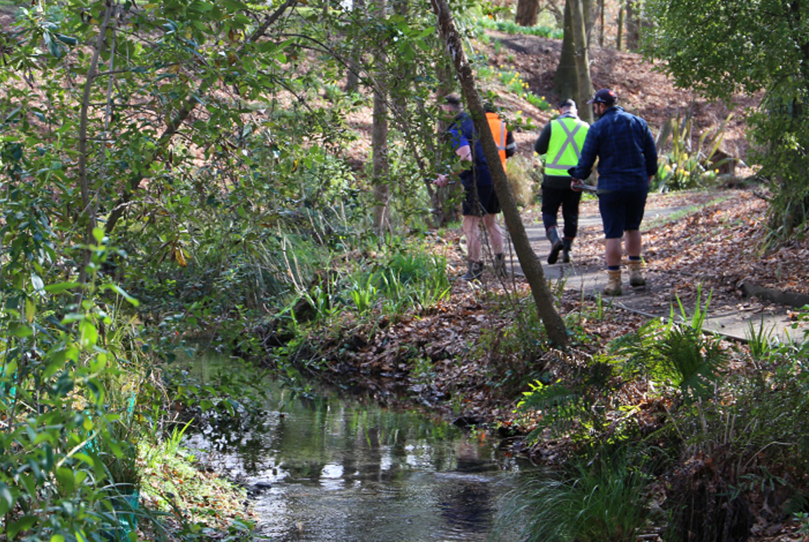 Mapihi Martin-Paul | Strategic Advisor Māori | Boffa Miskell