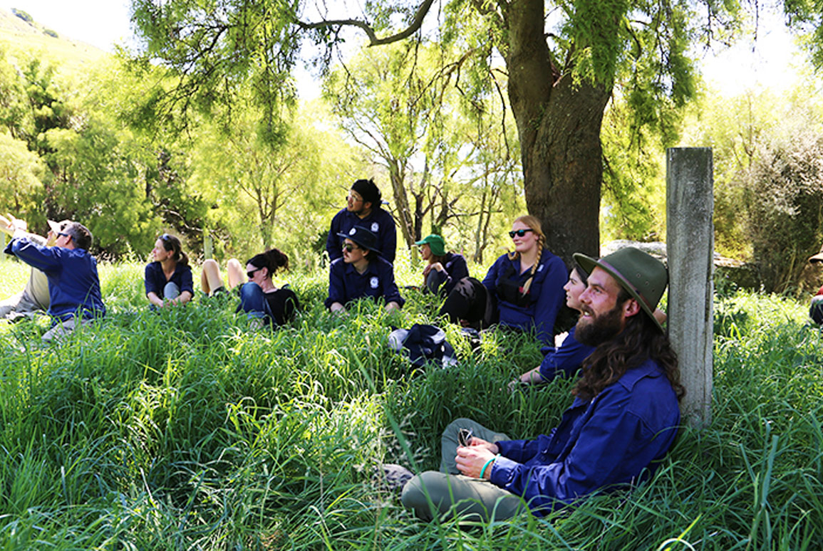 Jobs for Nature workshop for projects around Whakaraupō | Lyttelton ...
