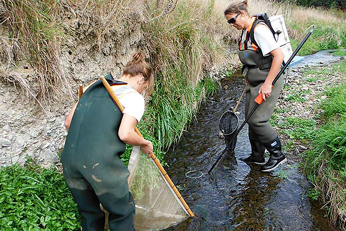 Electric fishing: rescuing precious taonga | Boffa Miskell