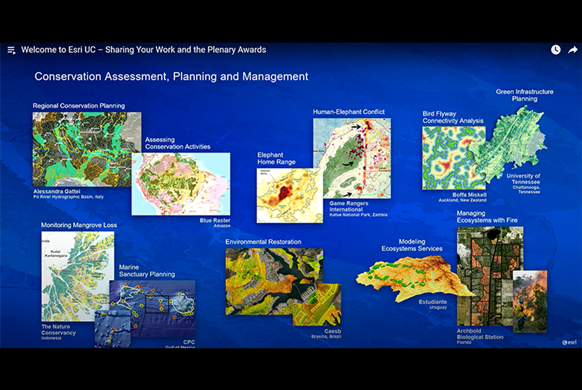 Boffa Miskell’s GIS on a global stage | Boffa Miskell