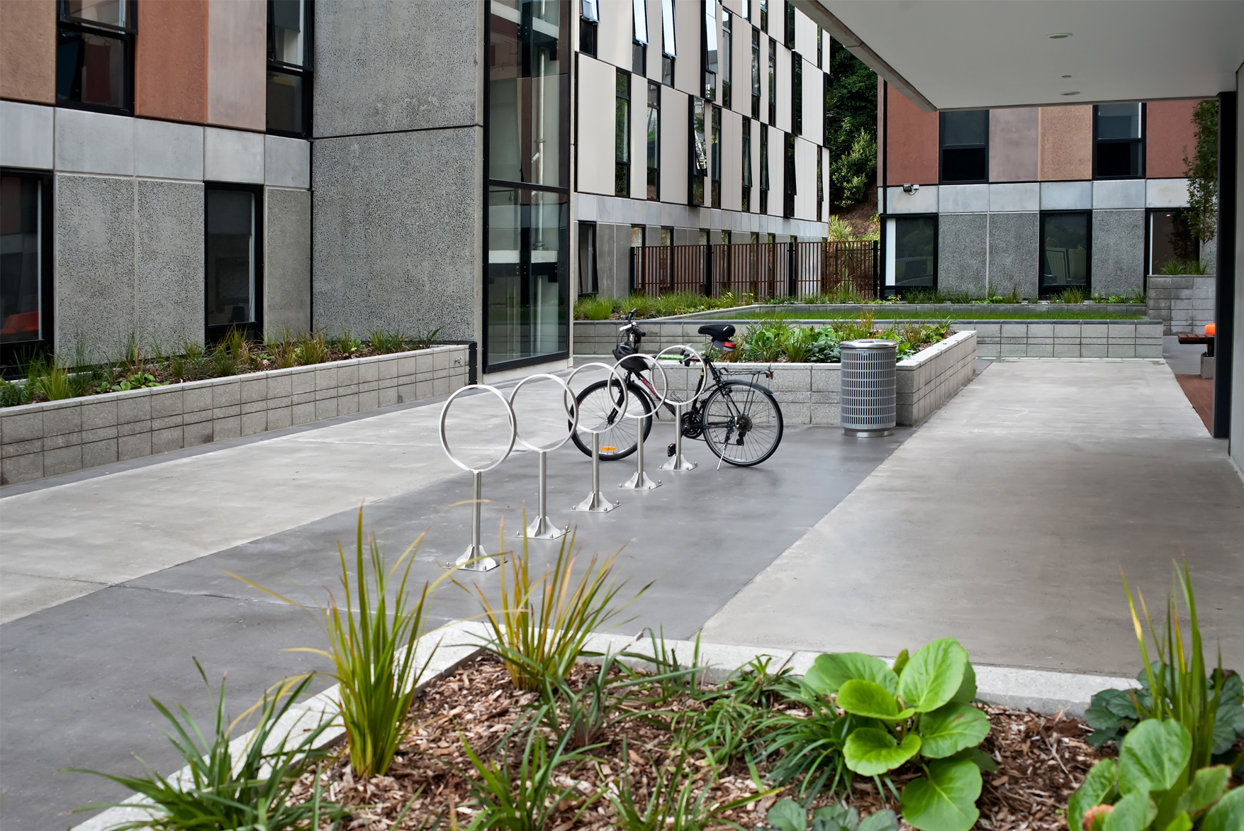 Carlaw Park Student Accommodation | Boffa Miskell