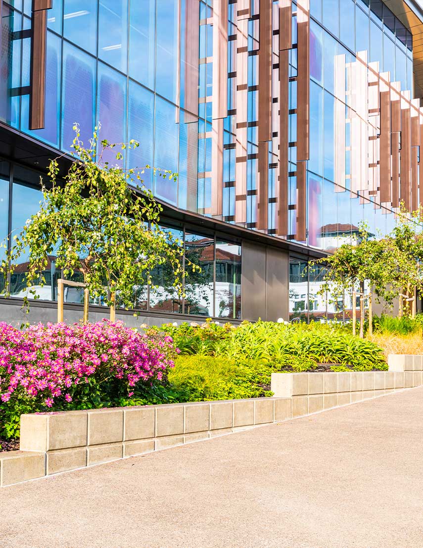 Massey University Innovation Complex | Boffa Miskell