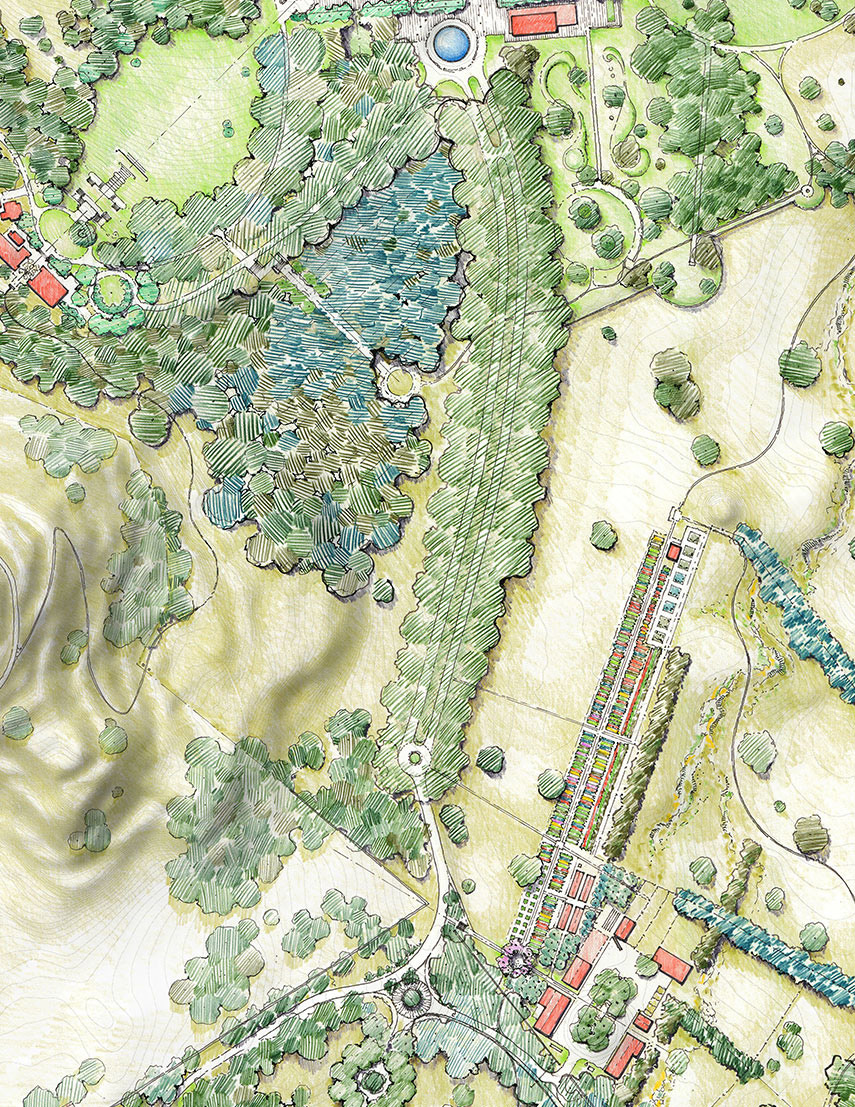 Cornwall Park | 100-year Masterplan | Boffa Miskell