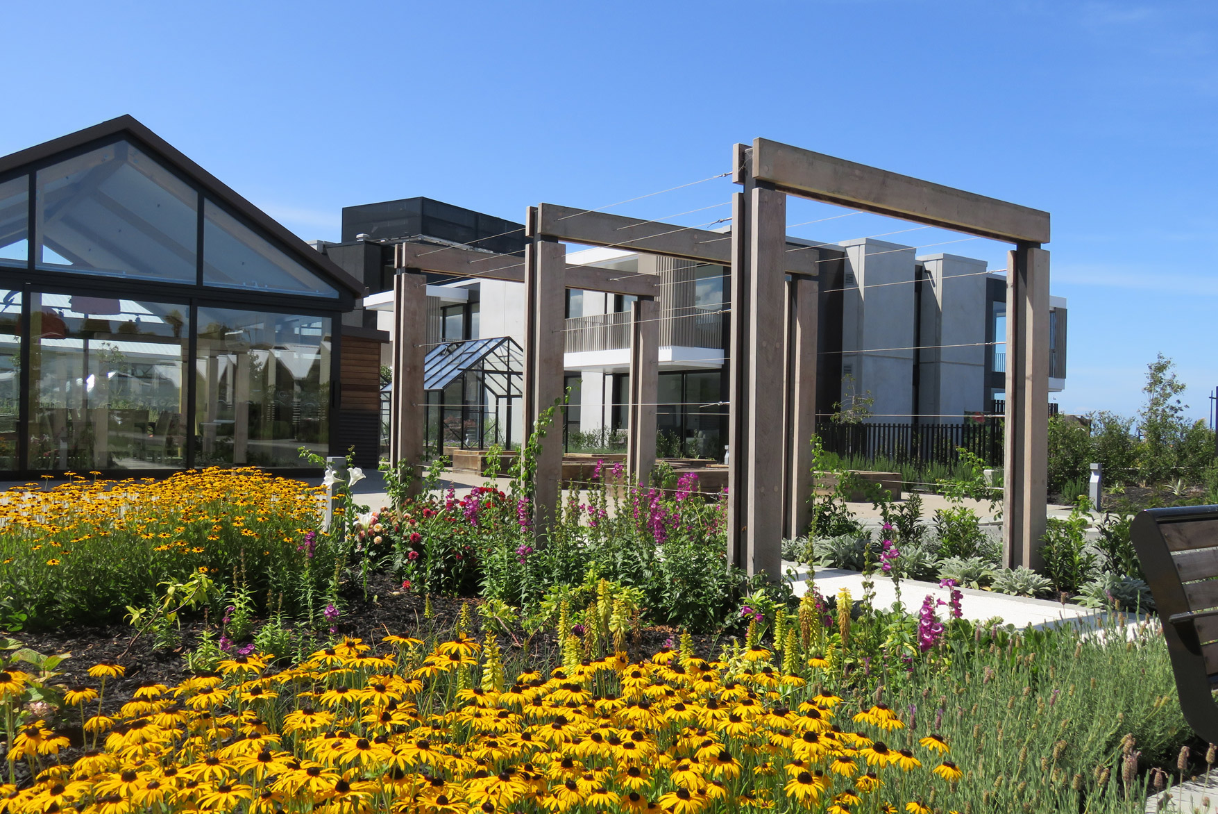 MetLife Care Gulf Rise Precinct 1 | Boffa Miskell