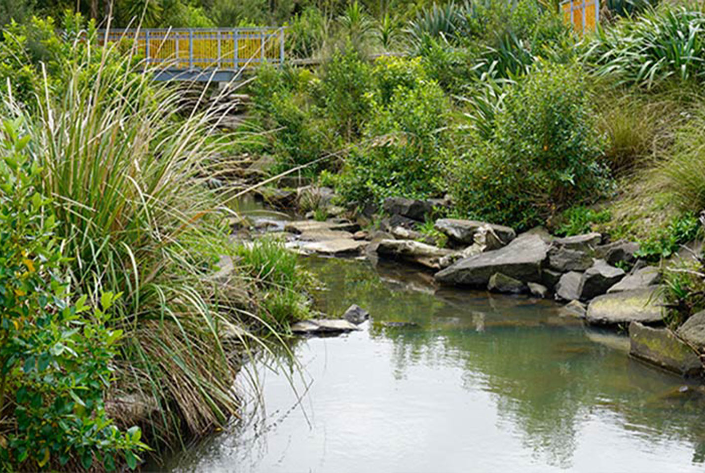 Mark Lewis | Landscape Architect | Boffa Miskell