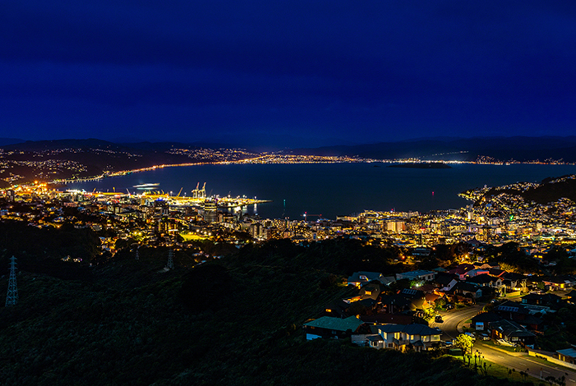 Ecologist’s perspective: Lighting our environment | Boffa Miskell