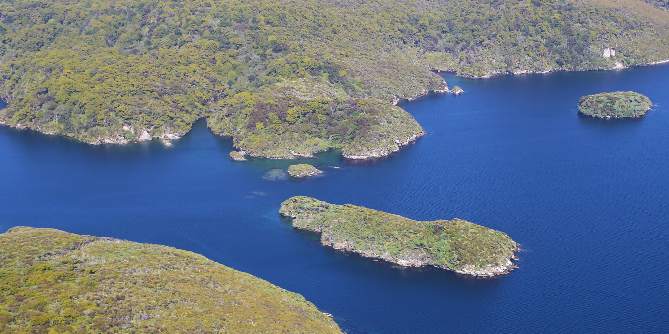Port Pegasus | Pikihatiti Salmon Farms | Boffa Miskell