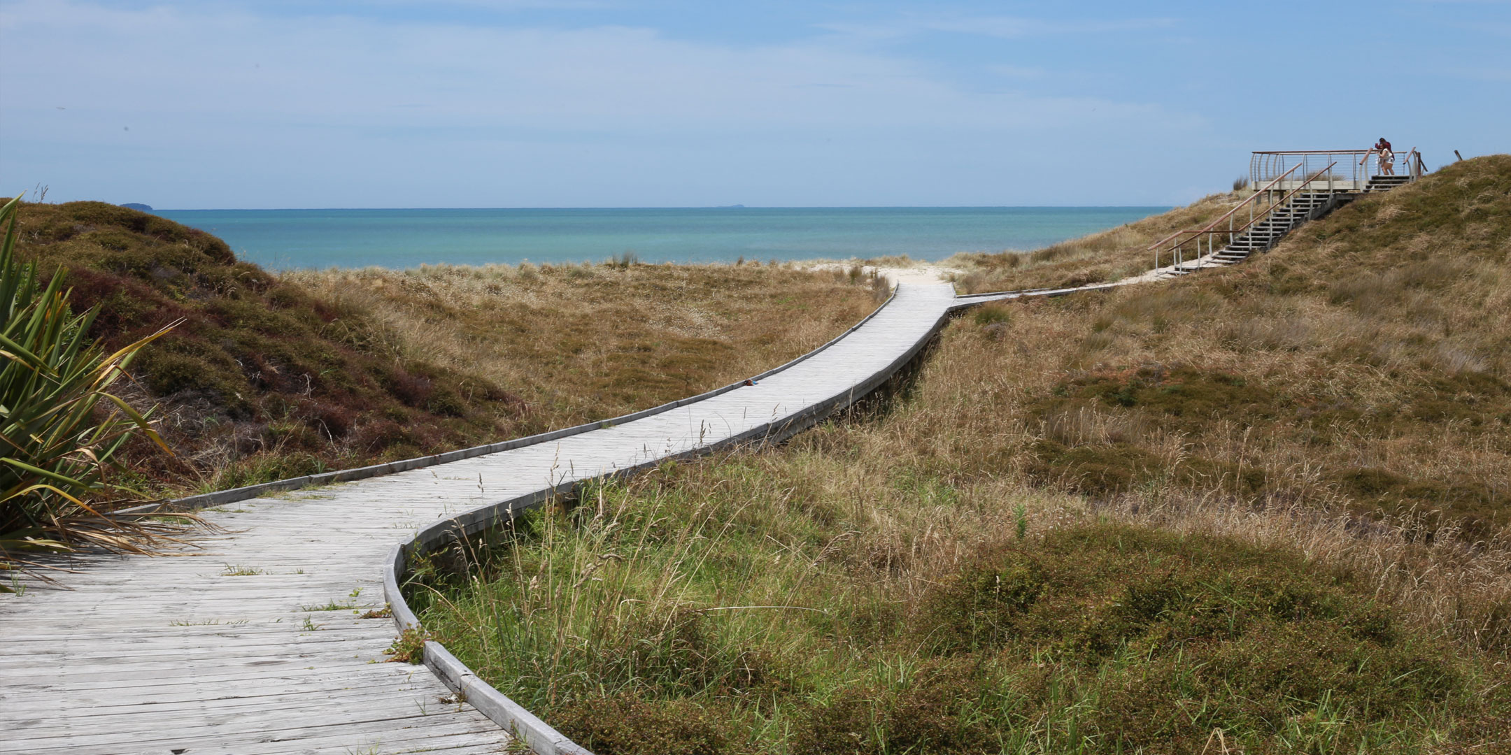 Papamoa Domain Reserve | Boffa Miskell