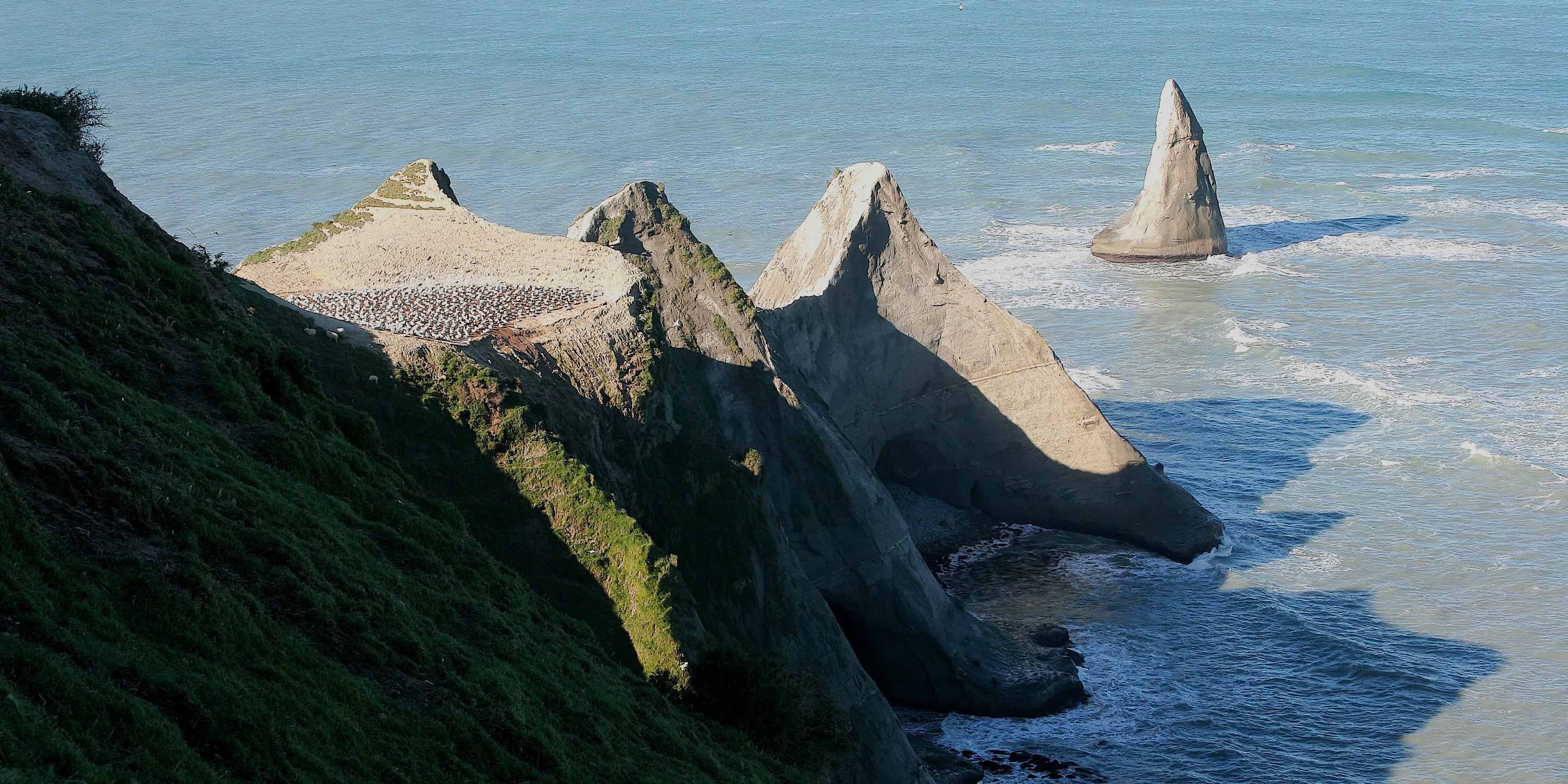 Boffa Miskell | Environmental Consultants | Boffa Miskell