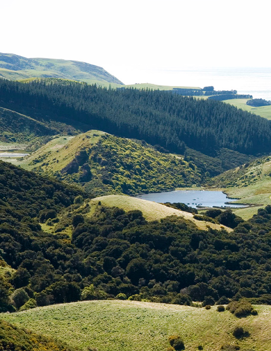 Kate Valley Landfill Resource Consent | Boffa Miskell